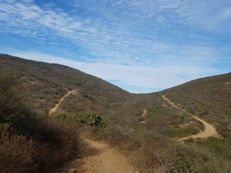 Fun Diego Family Hikes San Diego's Black Mountain Loop