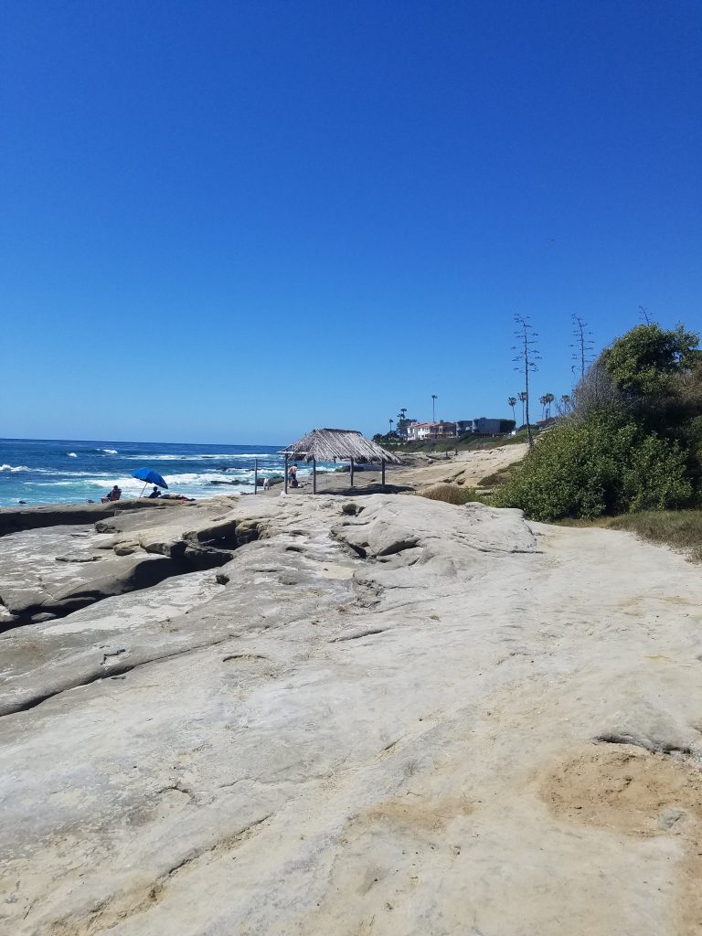 San Diego Beaches: Windansea Beach in La Jolla - Fun Diego Family