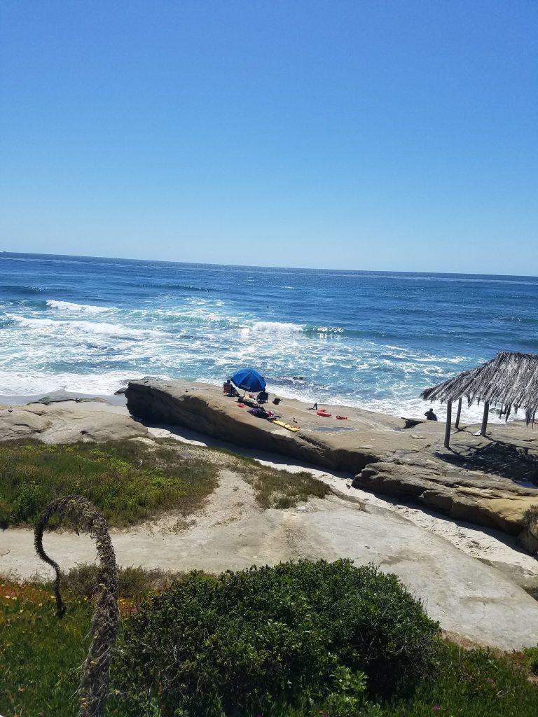 San Diego Beaches: Windansea Beach in La Jolla - Fun Diego Family