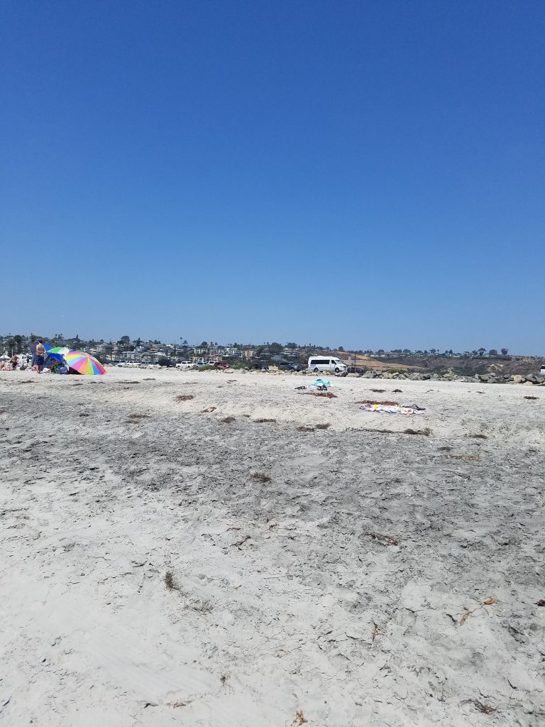 San Diego Beaches: Cardiff Reef at Cardiff State Beach - Fun Diego Family