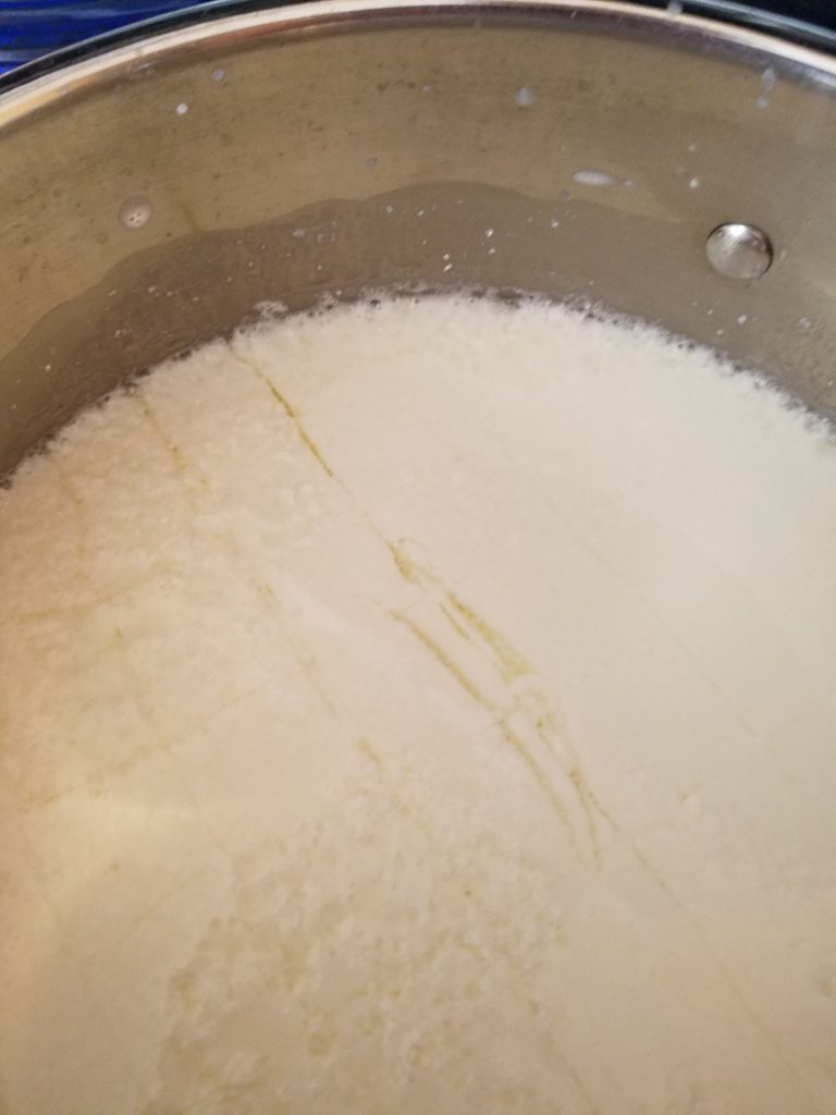 Cole Cooks: Homemade Mozzarella Cheese - Fun Diego Family