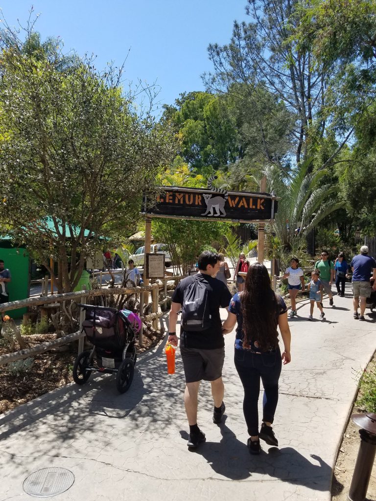 San Diego Zoo Safari Park Early Morning Tour - Fun Diego Family