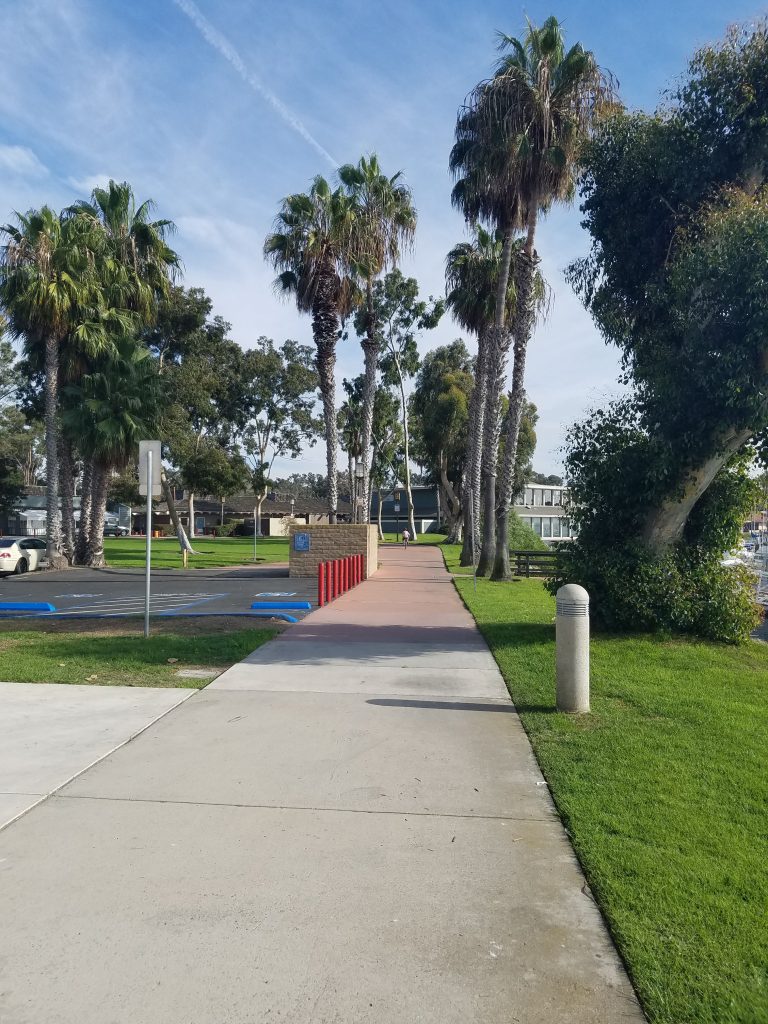 San Diego’s Mission Bay Bike Loop - Fun Diego Family