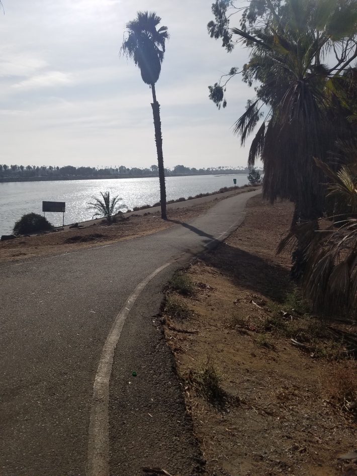San Diego’s Mission Bay Bike Loop - Fun Diego Family
