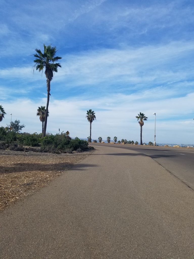 San Diego’s Mission Bay Bike Loop - Fun Diego Family