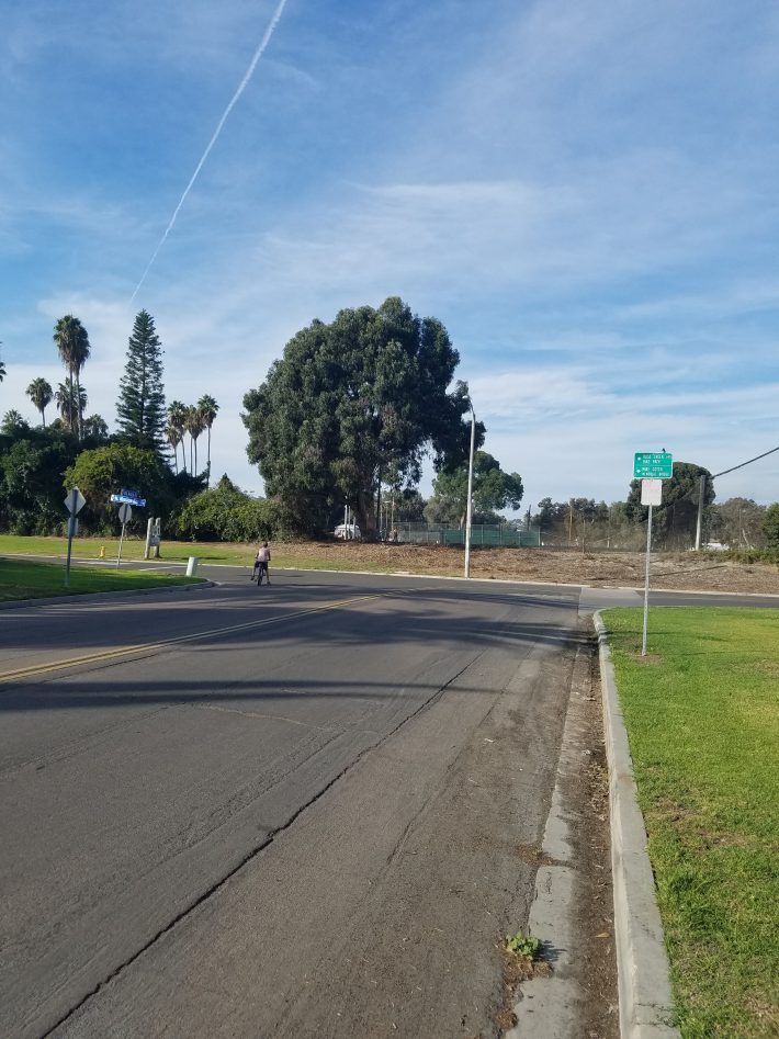 San Diego’s Mission Bay Bike Loop - Fun Diego Family