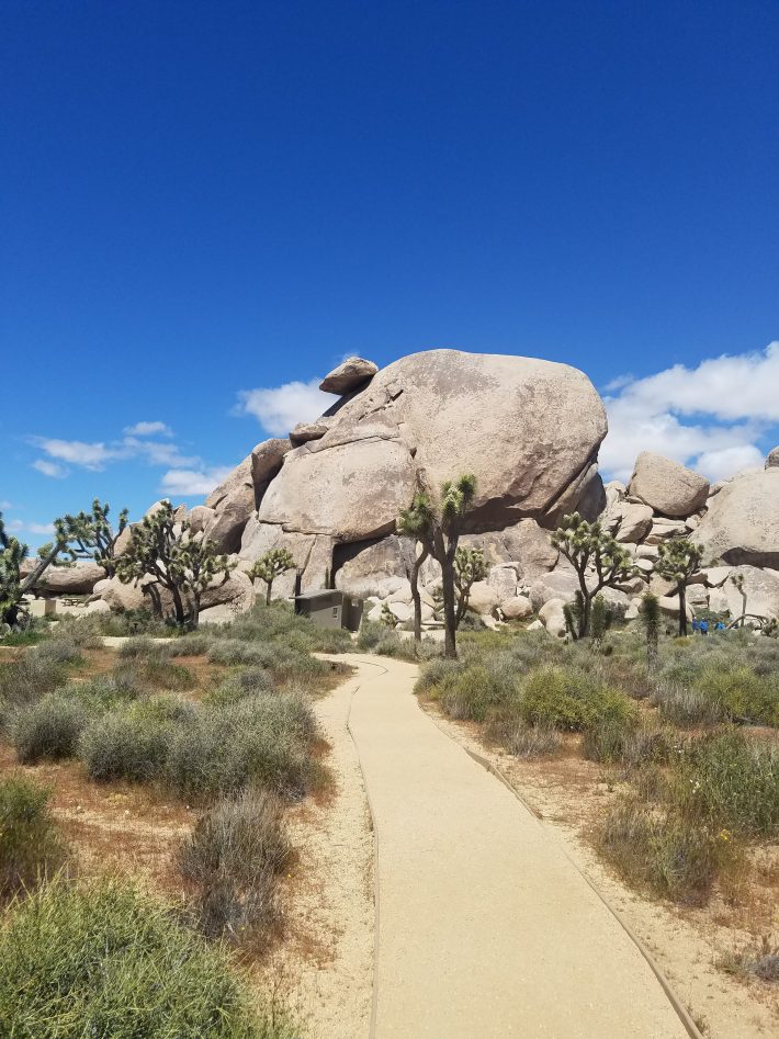 San Diego Hikes: Red Butte, Razor Point Trail, and Yucca Point Trail ...