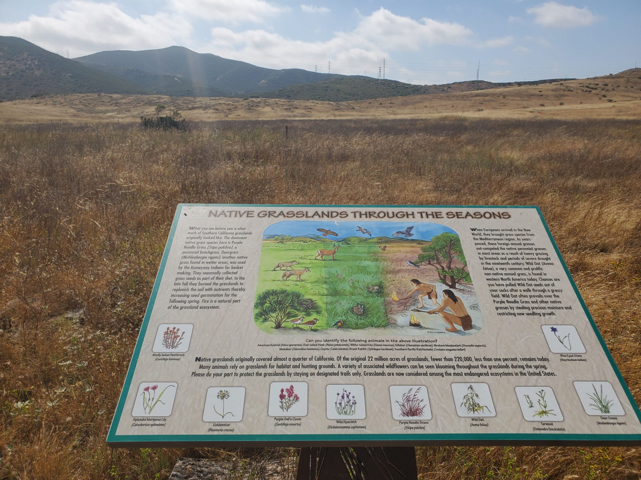 San Diego Hikes: Grasslands Loop at Mission Trails - Fun Diego Family